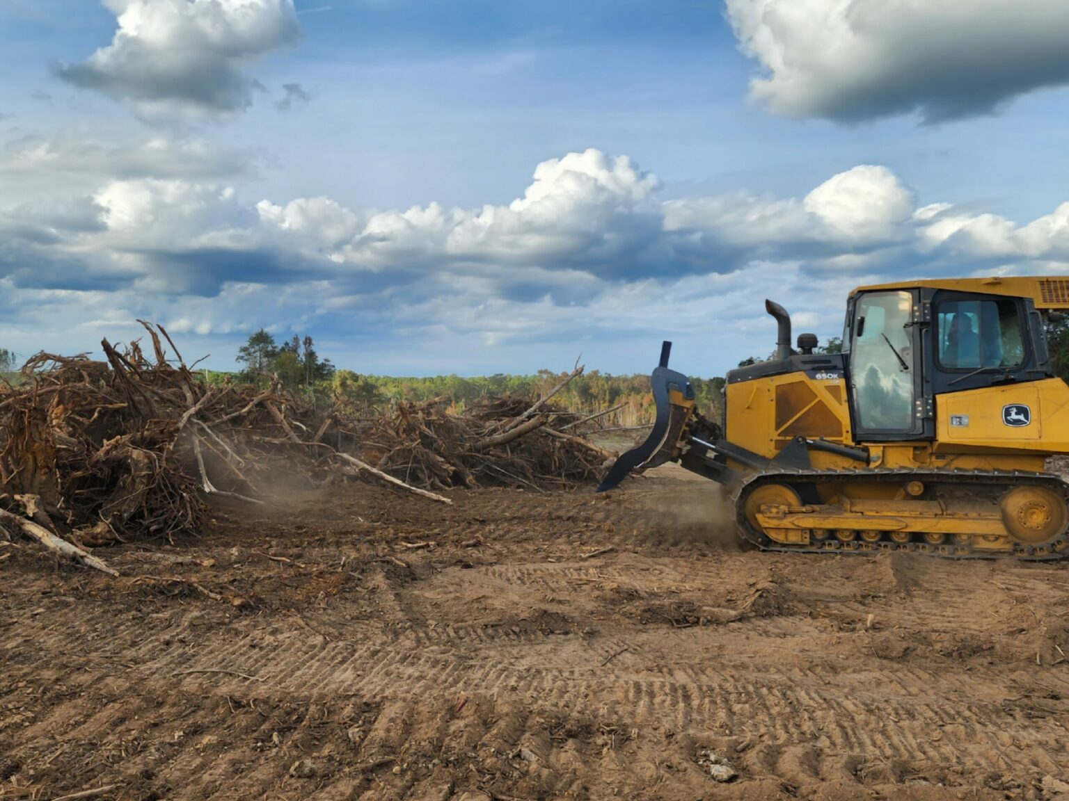 Bulldozer Root Rake - Armor Cage